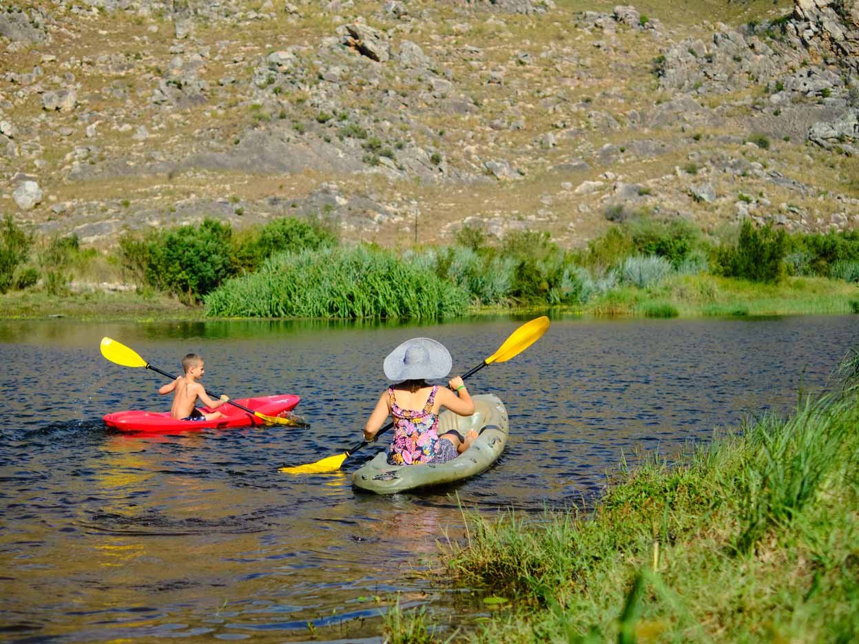 Wolfkop Nature Reserve - Home - Wontom
